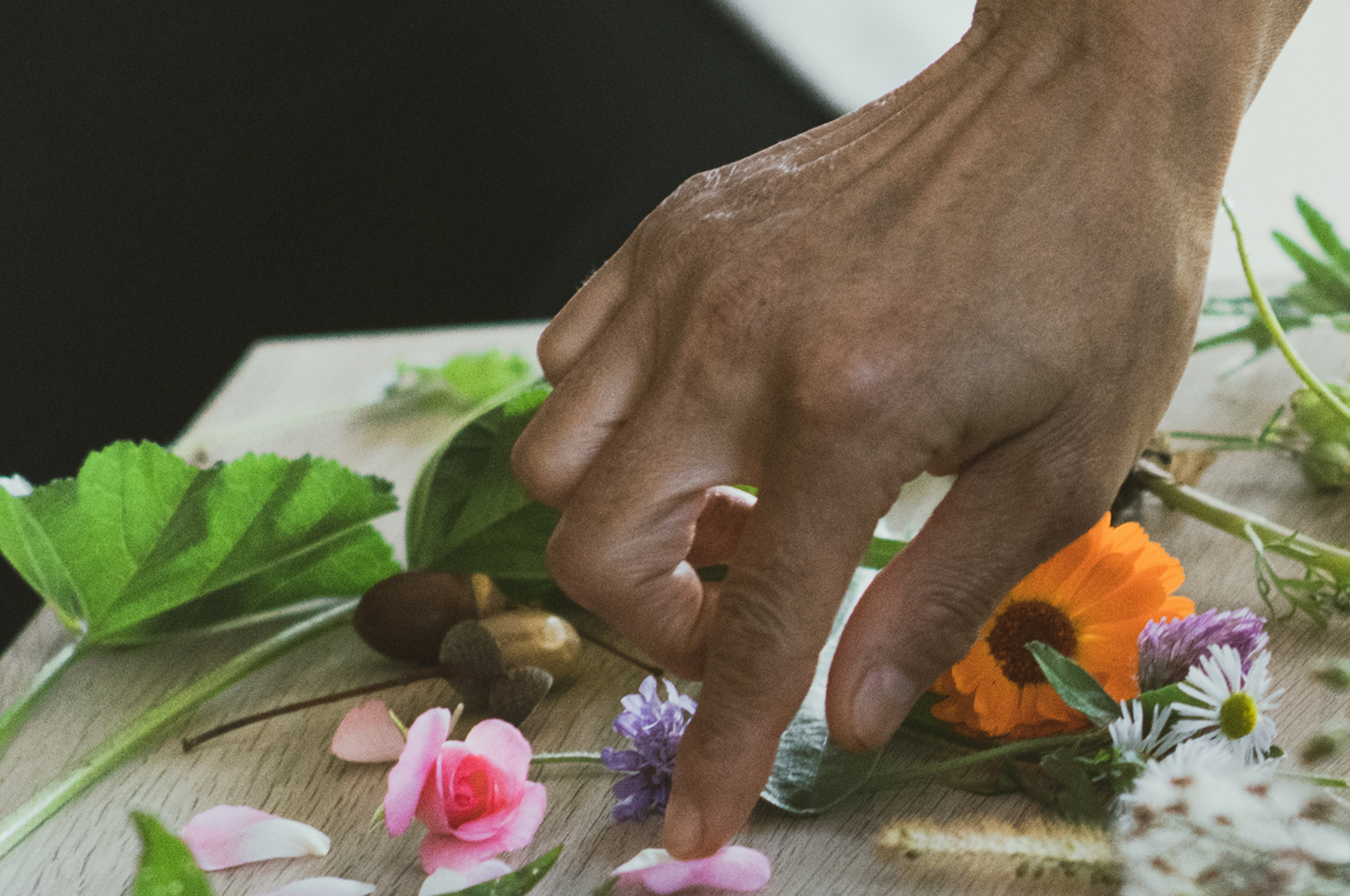 À La Croisée des Chemins — Les Soins pour les Structures